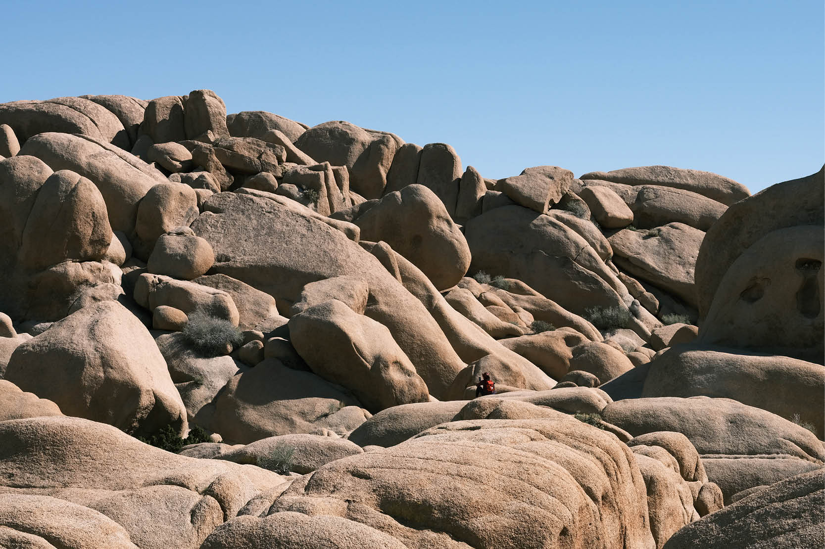 Clubs in Bellevue Washington | Bellevue Club | Downtown Bellevue Club