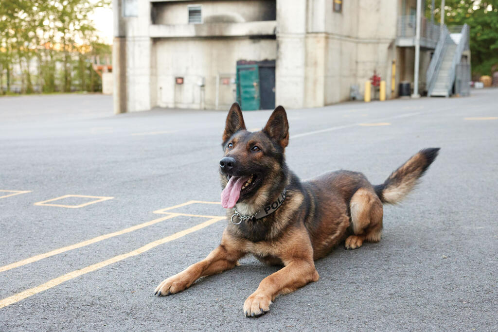 Bellevue PD's Best Boys - Reflections Magazine | Bellevue Club