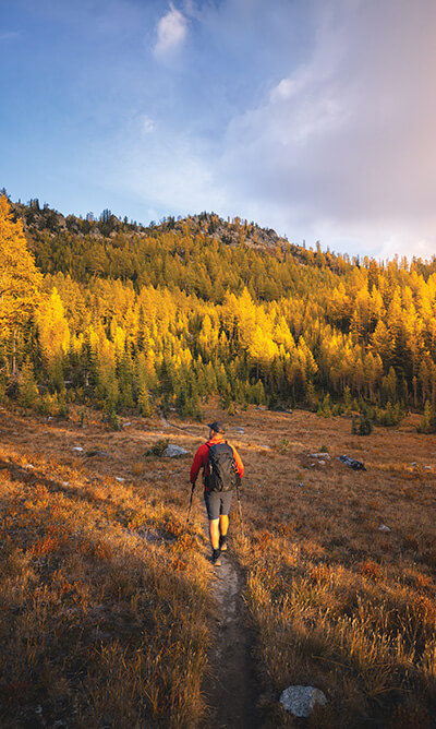 Lore of the Larches - Reflections Magazine | Bellevue Club